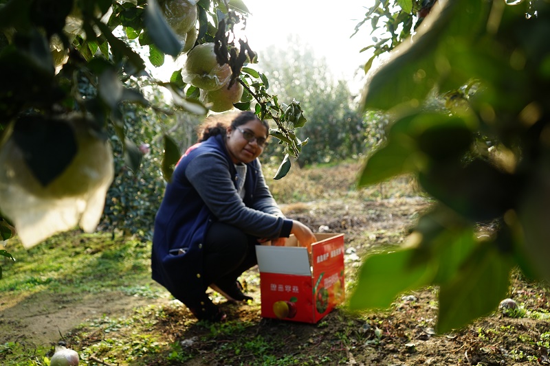 Trips for CSC Students of SDUST-国际交流学院中文版